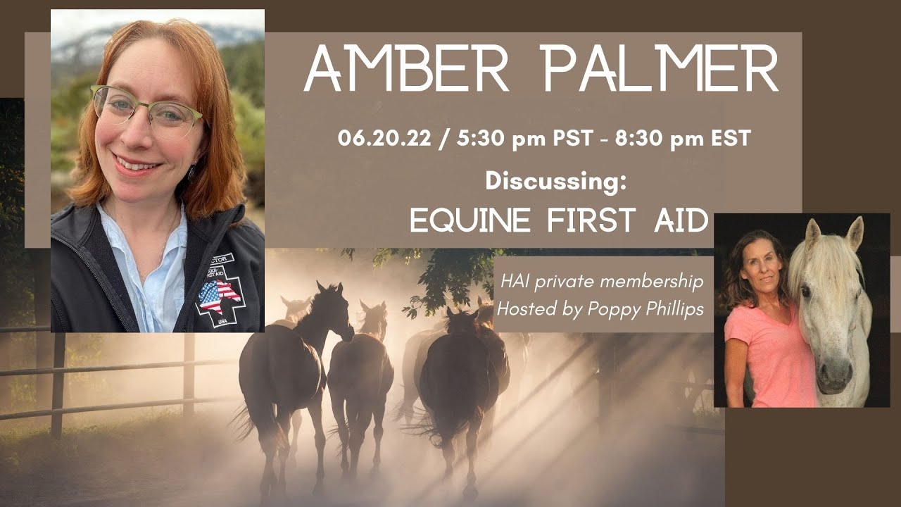 Amber Palmer Certified Equine First Aid Instructor