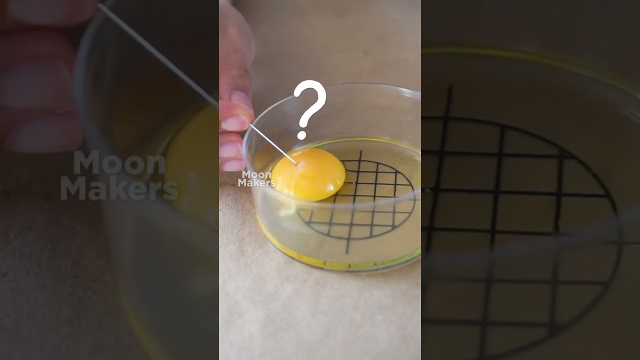 #MiercolesCiencia 🥚🔬Descubre cómo un huevo puede representar la estructura de las células.