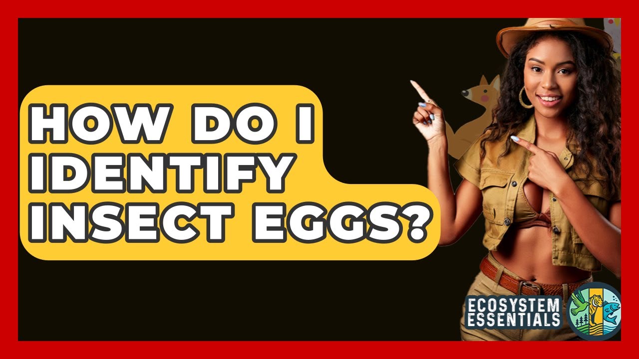 How Do I Identify Insect Eggs? - Ecosystem Essentials
