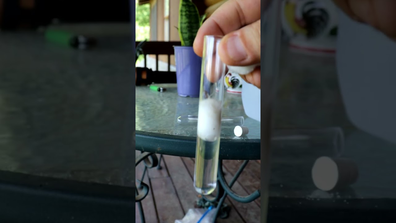 Simple Test Tube Set Up for Rearing a Queen Ant