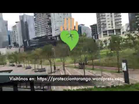 3 Parques y atracciones naturales que puedes visitar en la CDMX (Video ...