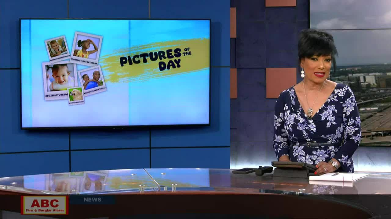 Pictures of the Day for Tuesday, Aug. 15 at noon