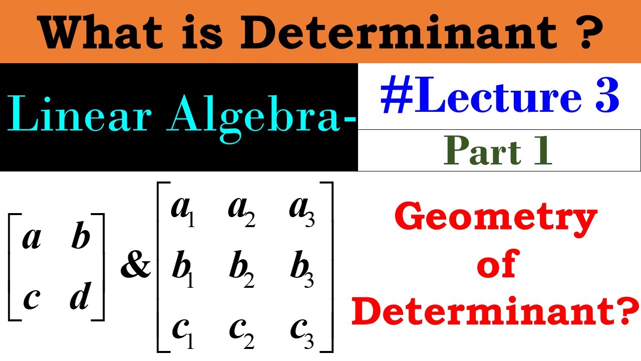 Linear Algebra || Lecture 3 (Part 1) || What is Determinant ? Geometry of Determinant