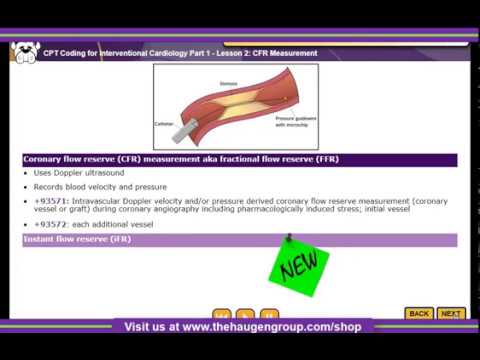 HCGTV: Haugen Academy Demo - Interventional Cardiology - CFR Measurement