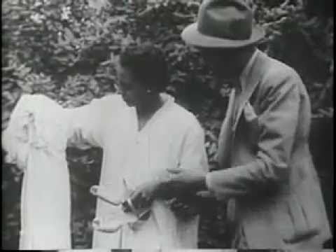 'Pioneers Of African-American Cinema' Collects Important Black ...