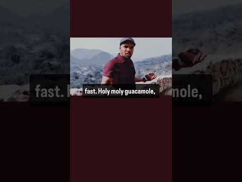 HOLY MOLY GUACAMOLE:Meaning &Usages