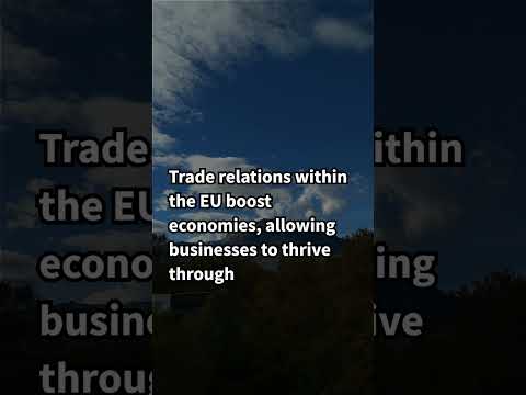 Understanding the European Union Its Purpose, Institutions, and Impact #europeanunion #europe #facts