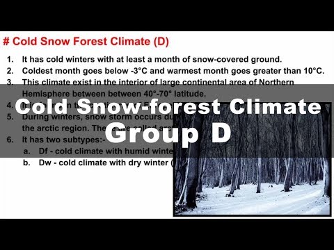 Cold Snow Forest Climate Video Lecture - Humanities/Arts
