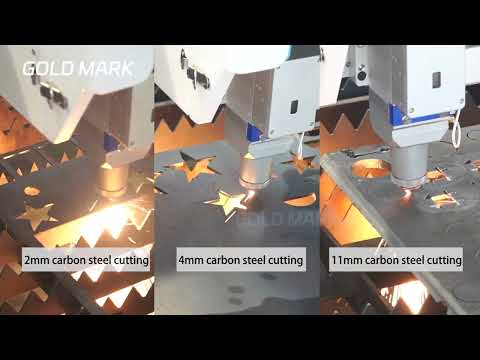 Economical WSX 1500W fiber laser cutting machine