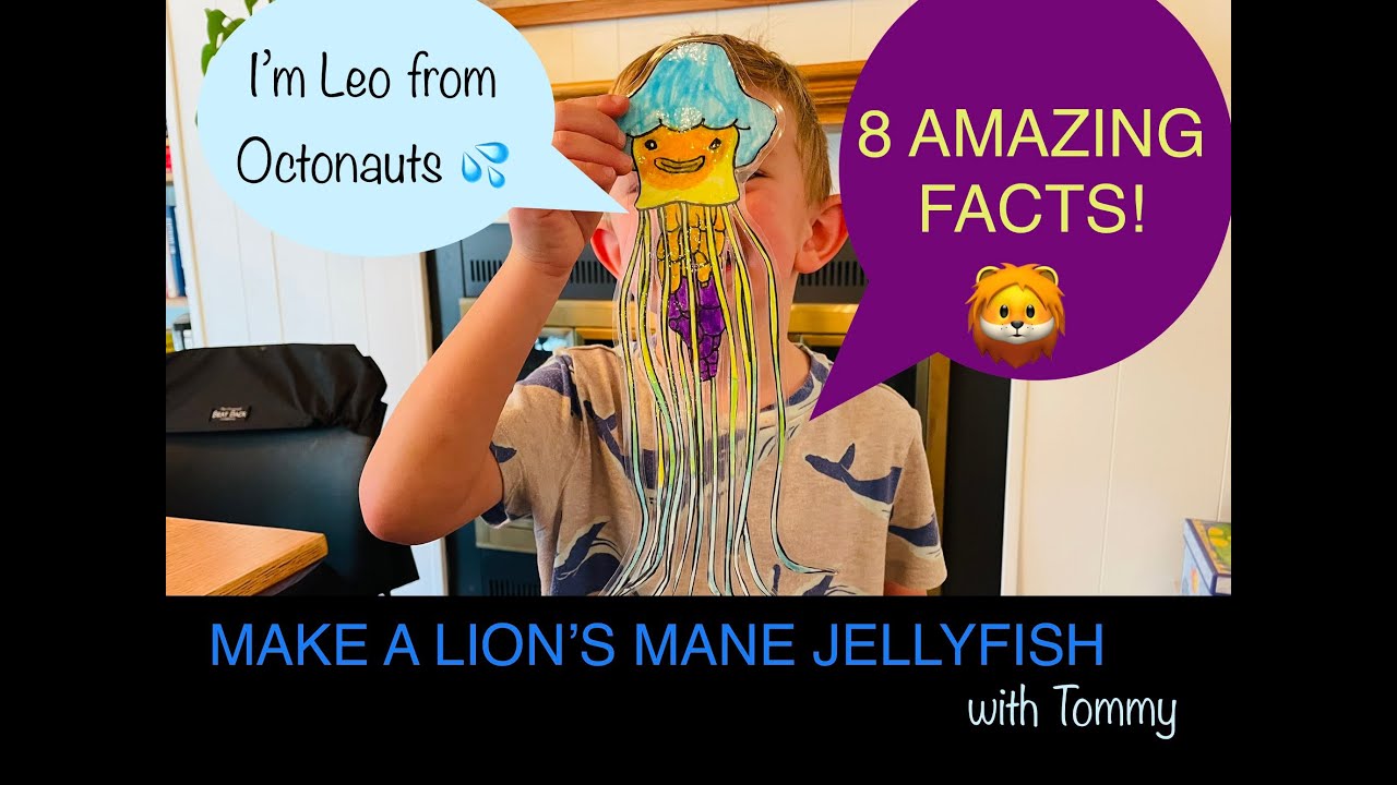 Lion's Mane Jellyfish - draw, color, measure, and 8 fun facts!