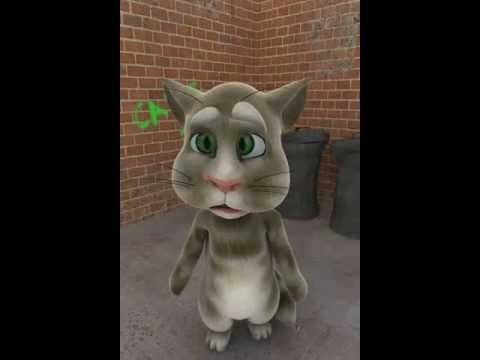 cat abuse