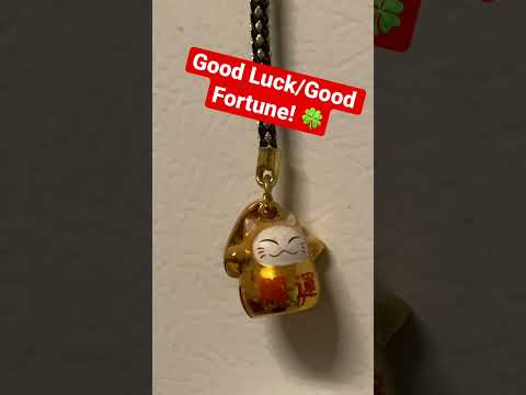 Lucky Maneki Neko Cat! | Good Luck/Good Fortune! | New Year Fortune! #shorts