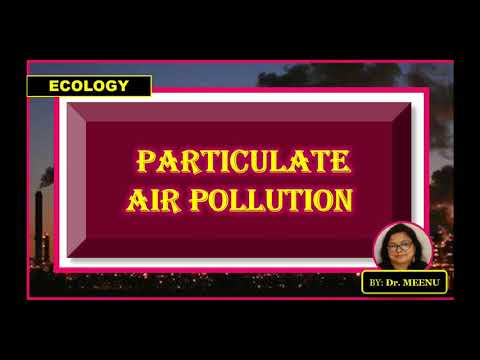 #air pollution#SPM#PM PARTICULATE AIR POLLUTION