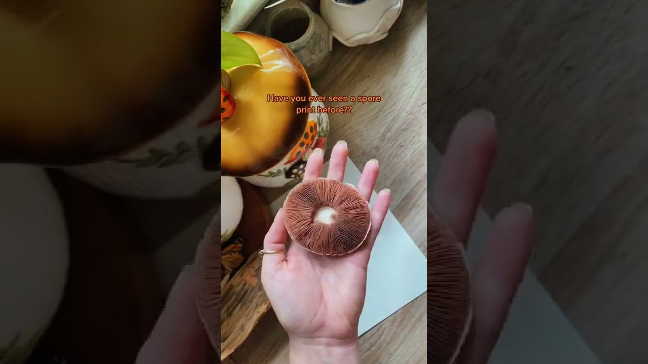 Mushroom Print Tiktok mamemering