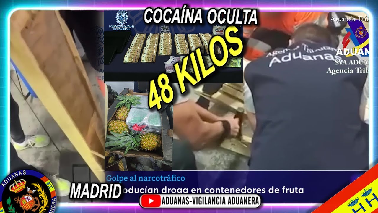 48 Kilos de cocaína en contenedores de piñas, Madrid - Aduanas SVA