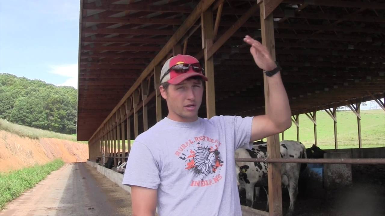 Factors that affect milk prices