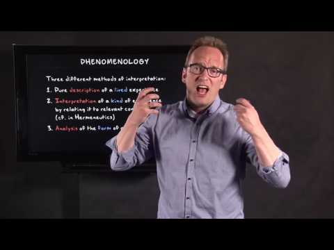 1.6 Phenomenology | Qualitative Methods | Philosophy of Qualitative Research | UvA