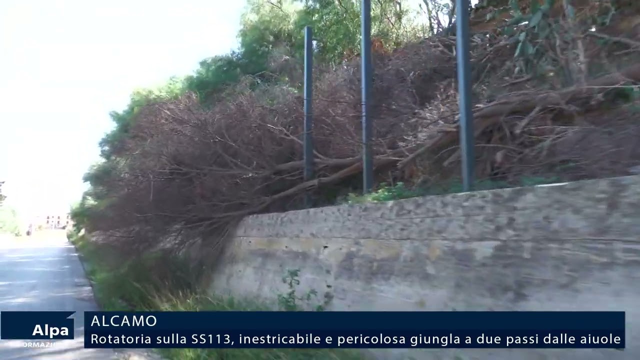 Alcamo, rotatoria sulla SS113, inestricabile e pericolosa giungla a due ...