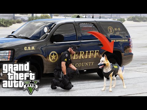 Ultimate Backup K9 Demo