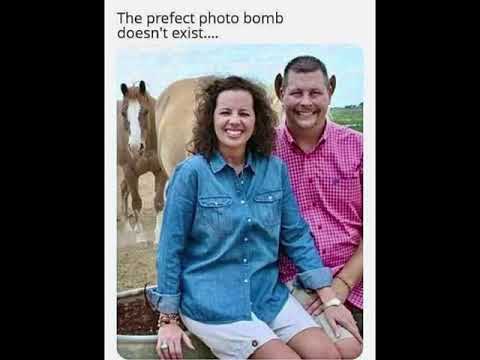 😆Funny Memes, Puns & Jokes - Episode 118 😆 BIG Compilation 😆Best On the Internet! 😆 TRY NOT TO LAUGH