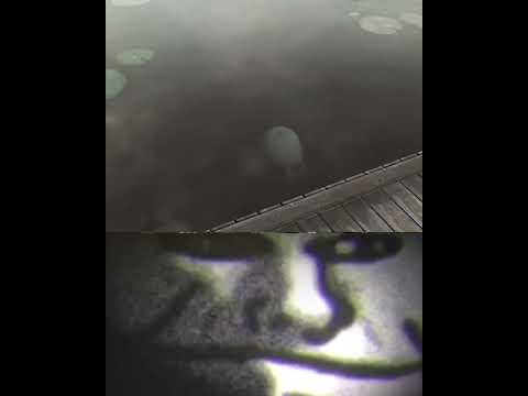 What in that water???? bonkers trollface meme credits-Z3LDRS1. video credits-LIGHTSAREOF.????????