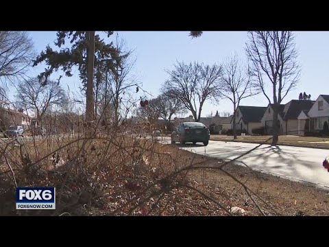 Milwaukee boulevards vandalized, flower bed irrigation systems stolen | FOX6 News Milwaukee