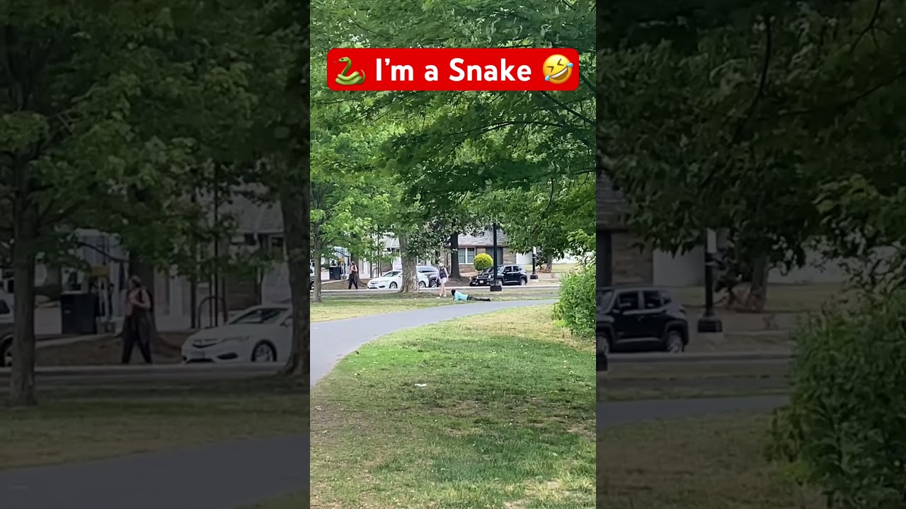 Snakes don’t wear shoes either. Pretty sure drugs were involved. He had a a fancy shirt on though 🤣
