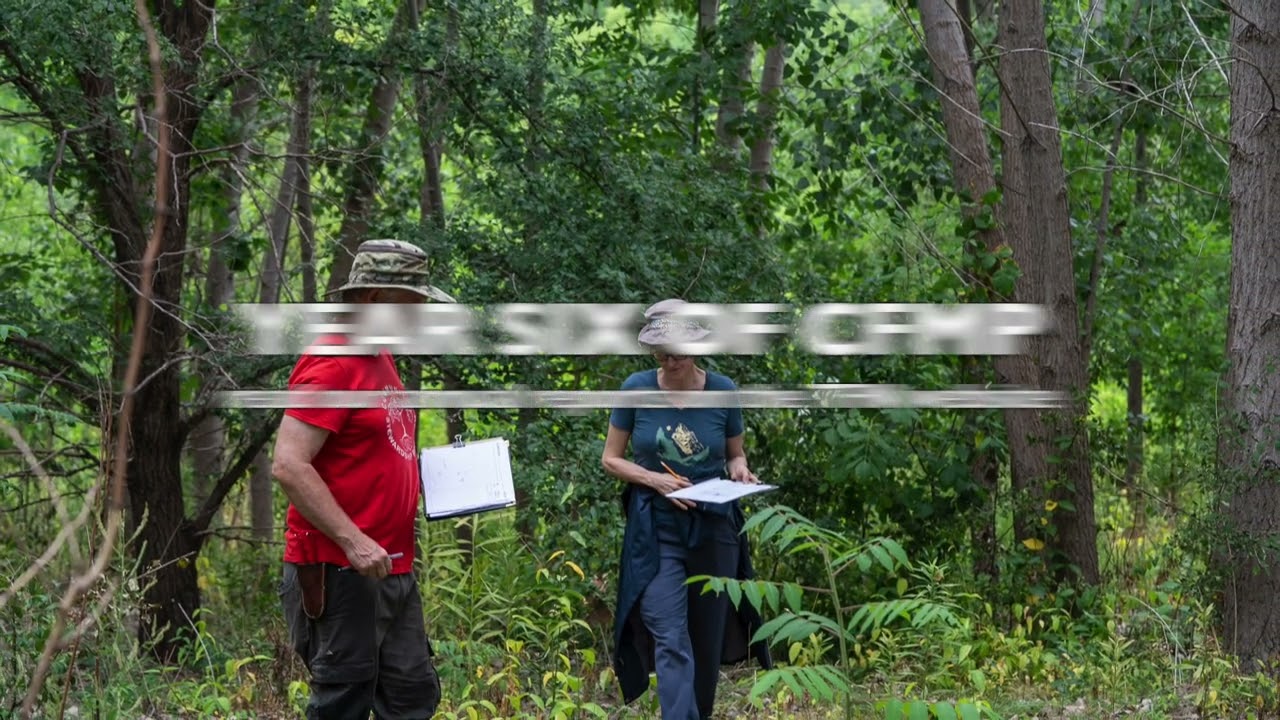 What TFN does in a year – Toronto Field Naturalists