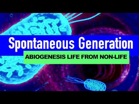 Abiogenesis and Spontaneous Generation the history, facts and reasons we should consider.
