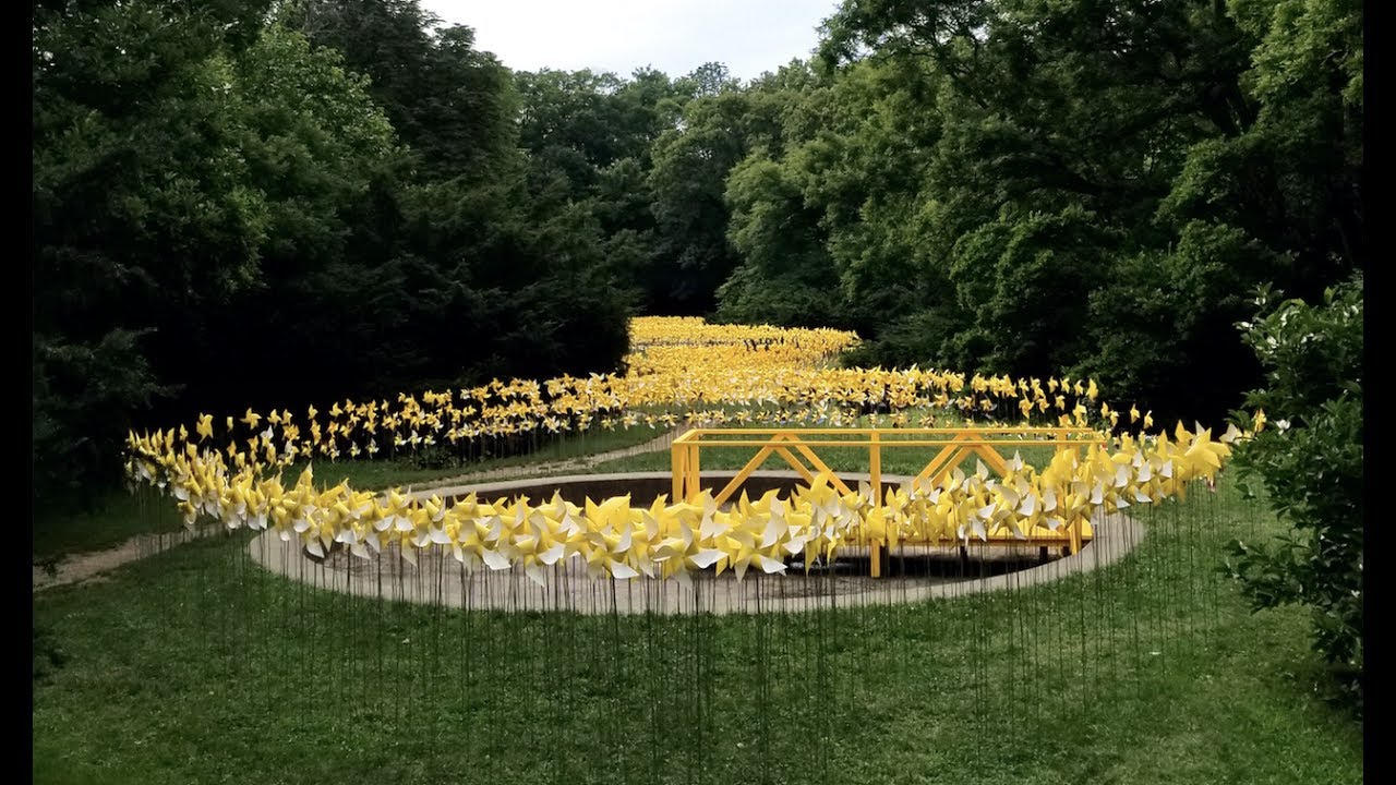 The Connective Project transforms the Rose Garden in Prospect Park with thousands of pinwheels.