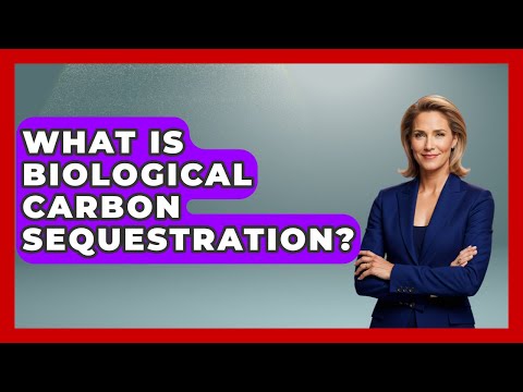 What Is Biological Carbon Sequestration? - The Geography Atlas