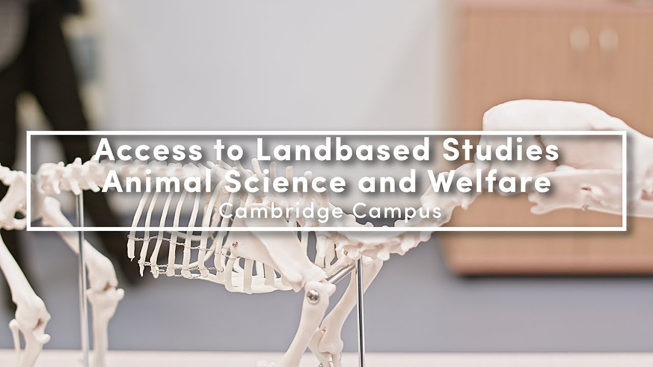 CWA Access to HE - Landbased Studies