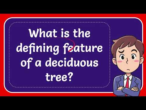 What is the defining feature of a deciduous tree?