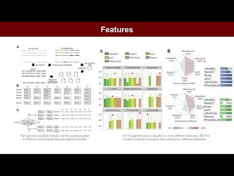 iMeta | IPGA: a handy integrated prokaryotes genome and pan-genome analysis web service