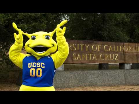 Strangest College Mascots