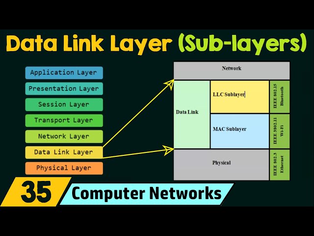 Understanding The Sub Layers Of The Data Link Layer Galaxy Ai