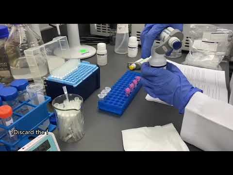 Qiagen AllPrep DNA RNA FFPE Kit