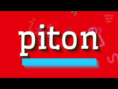 How to say "piton"! (High Quality Voices)
