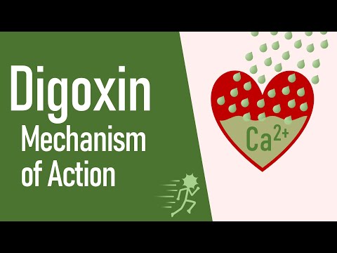 Digoxin Injections - Digoxin Injection USP Latest Price, Manufacturers ...