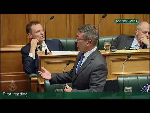 Employment Relations (Triangular Employment) Amendment Bill - First Reading - Video 2