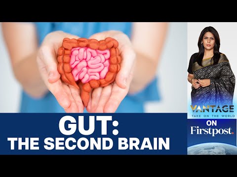 Our brain and intestine are connected and work in combination ...