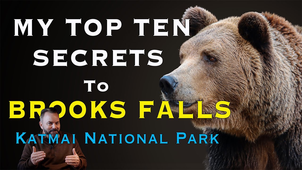 My Top Ten Secrets to Brooks Falls, Katmai National Park.