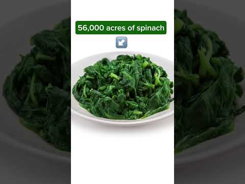 #BREAKINGNEWS: Nation’s 56,000 Acres Of Spinach Crops Cooked Down To Single Half-Cup Serving #food