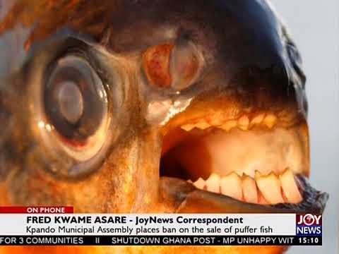 Poisonous Fish - The Pulse on JoyNews (18-8-17)