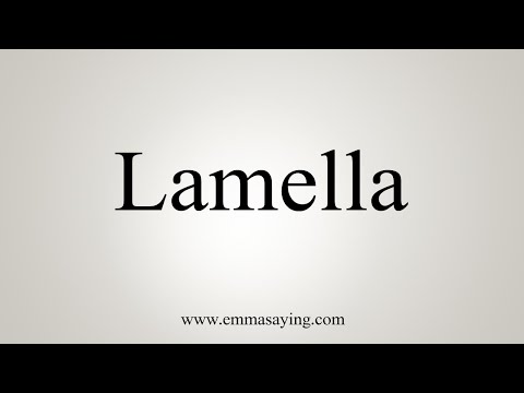 How To Say Lamella