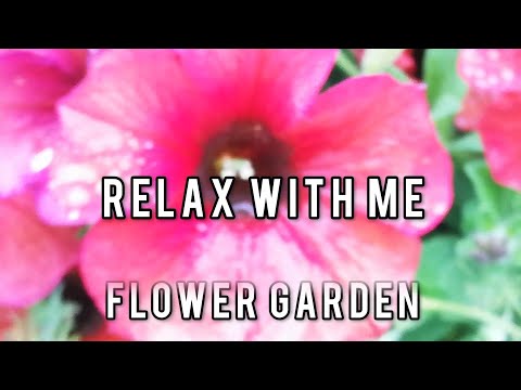 Relaxing Music and Images for Mindfulness, Meditation, Sleep, Ambient Study Music, Flower Garden