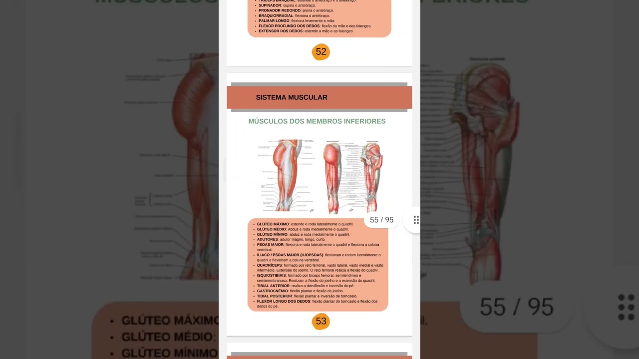 E-book de Anatomia - Resumos de 10 sistemas #anatomia #anatomiaparaconcursos