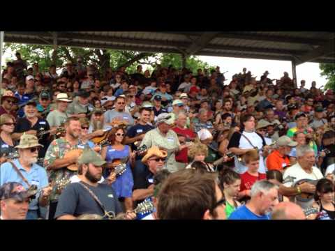 John Goad's Galax video journal - Bluegrass Today : Bluegrass Today