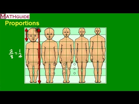 Proportions