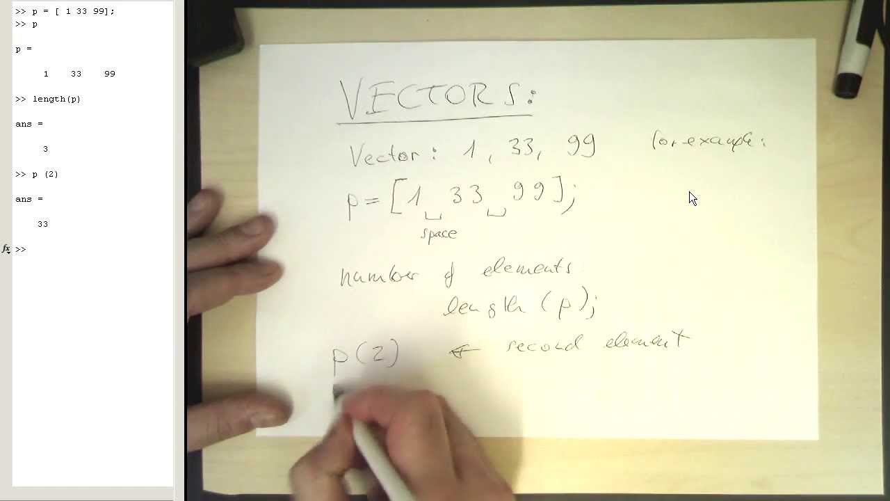 MATLAB: Vectors (#004)